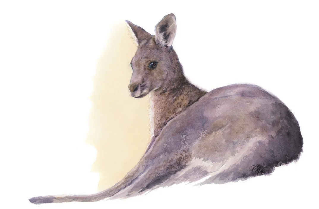 Kelly Ryner Artist's Gallery Wildlife Watercolour Portraits — Kelly ...