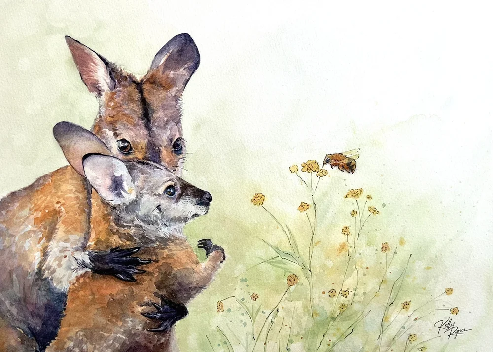 Australian Watercolour Animal Birds | Kelly Ryner — Kelly Ryner ...
