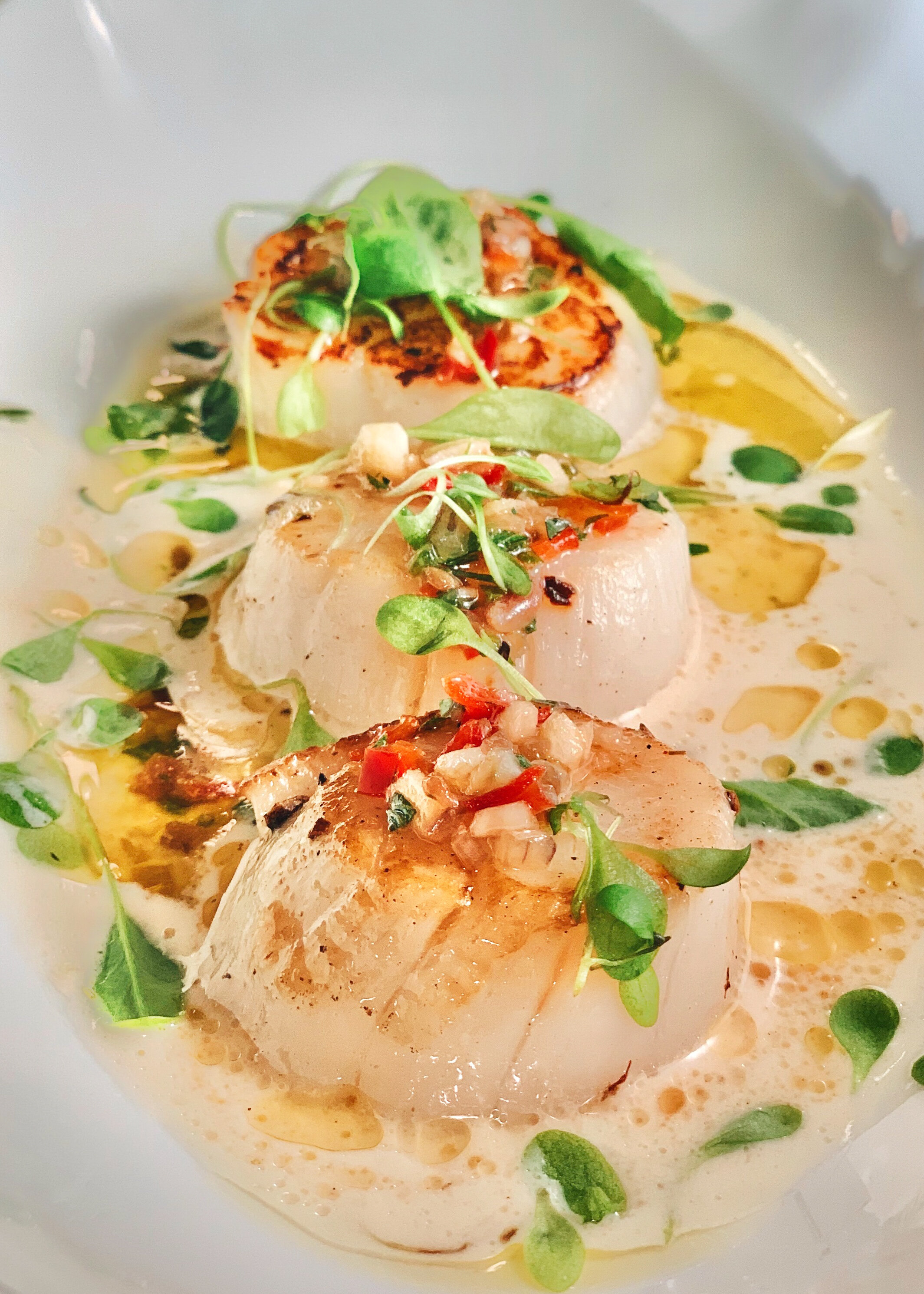 Dinner — Tangö Contemporary Cafe - Honolulu, Hawaii