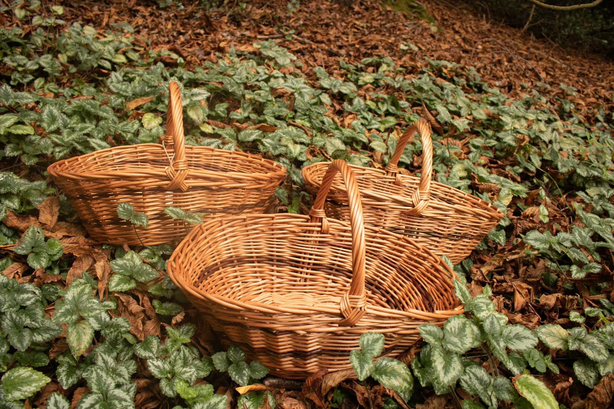 Geoff Travers Basket maker