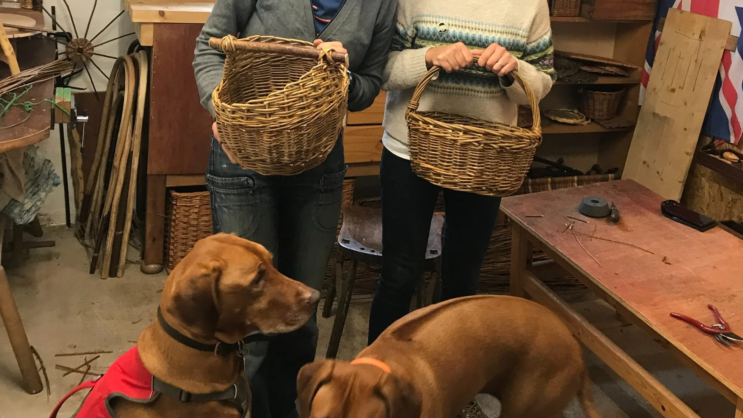 willow basketmaking workshop - 2024 ( for two people) — Geoff Travers ...