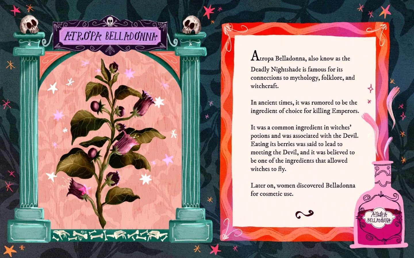 About — Lena Addink Illustration