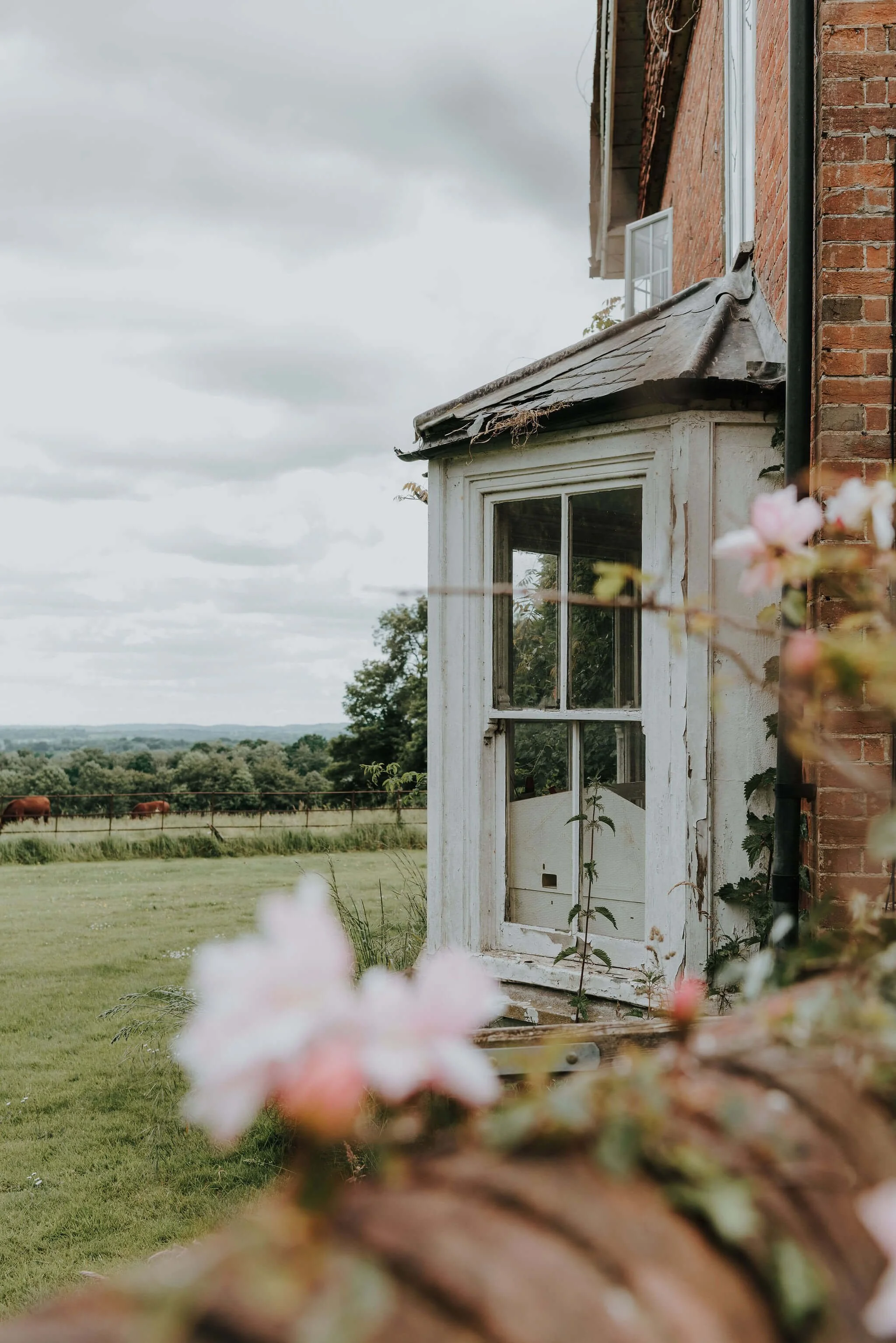 Gambledown Farm — Kate Cullen Coaching & Photography