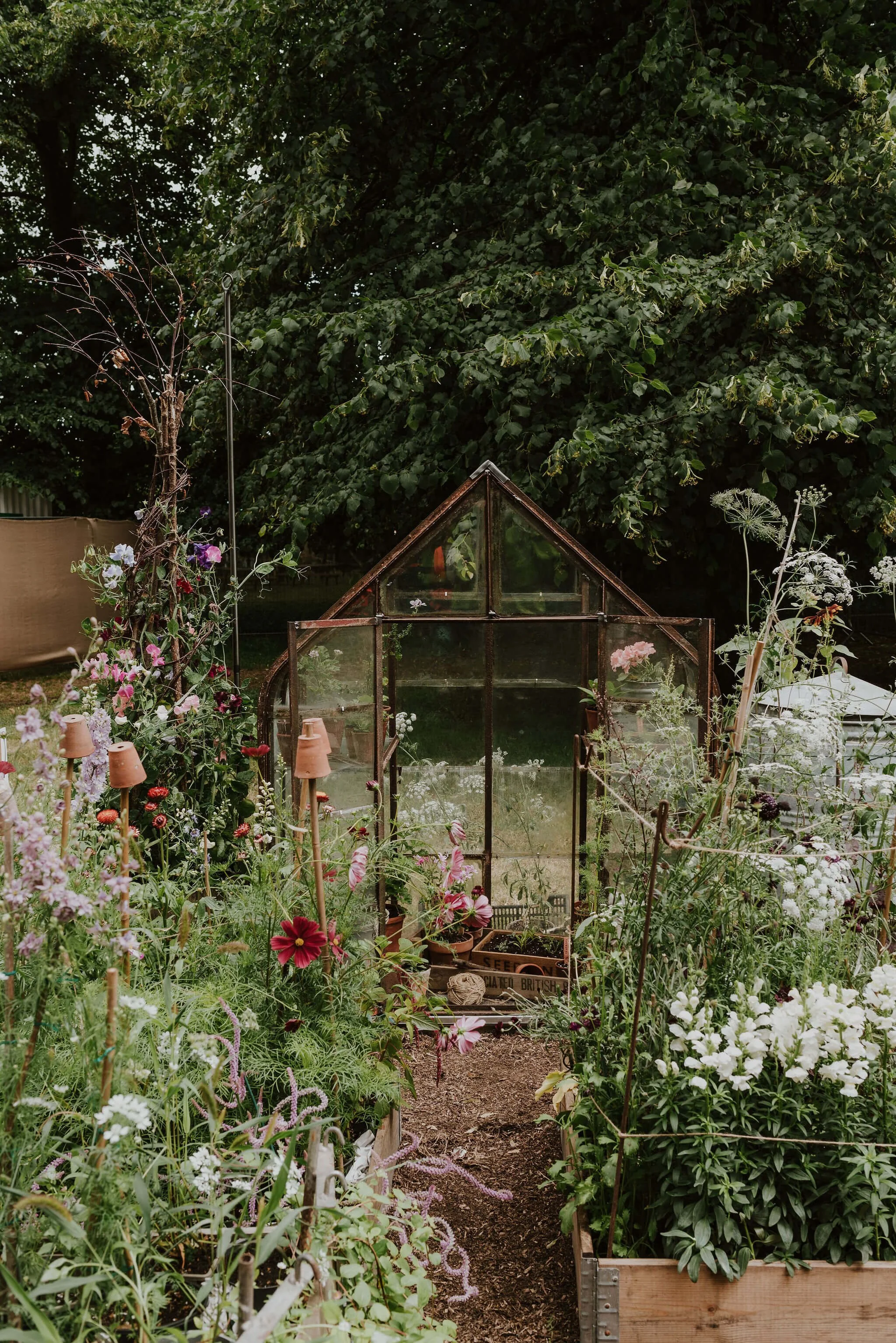 RHS Hampton Court Palace — Kate Cullen Coaching & Photography