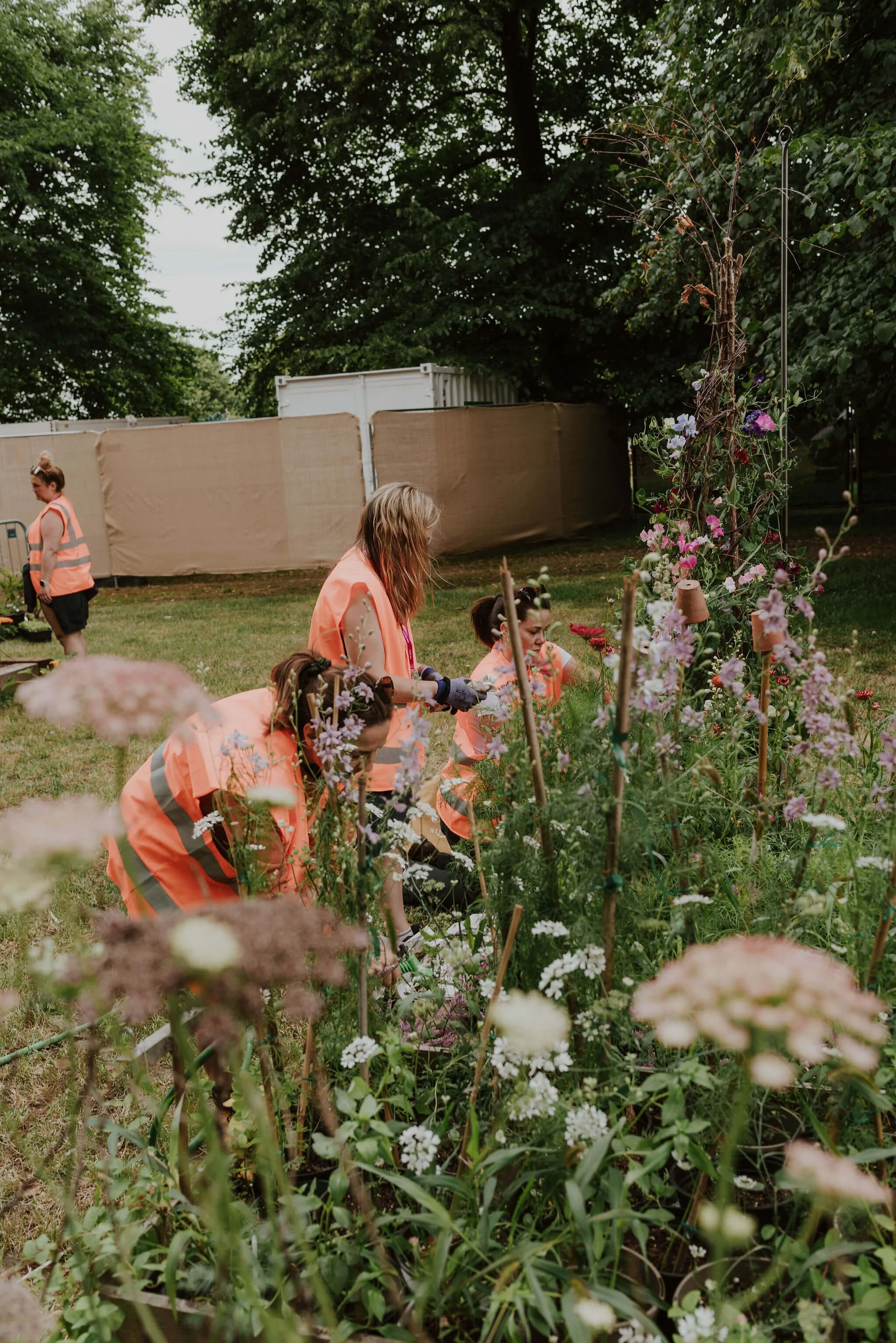 RHS Hampton Court Palace — Kate Cullen Coaching & Photography