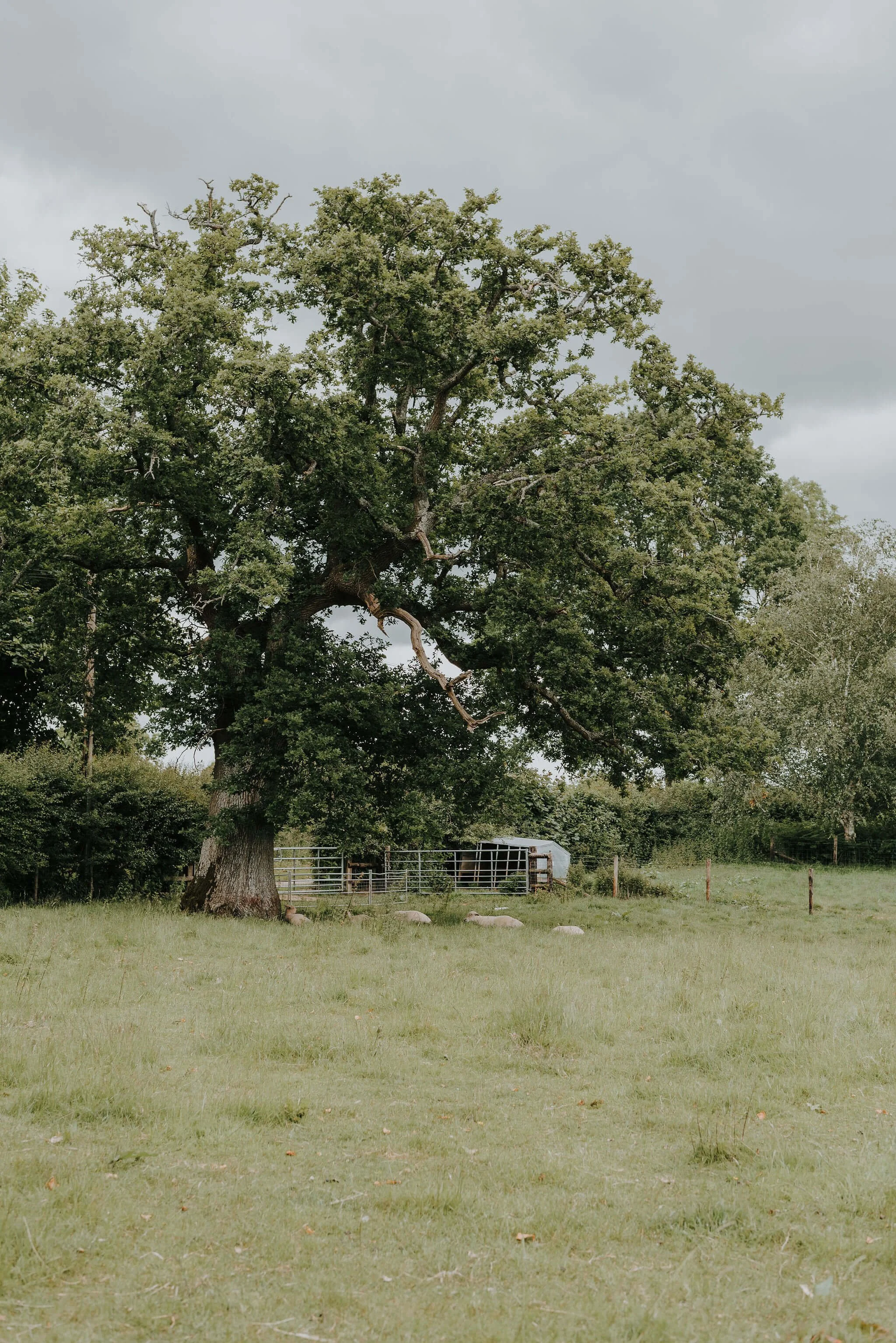 Gambledown Farm — Kate Cullen Coaching & Photography
