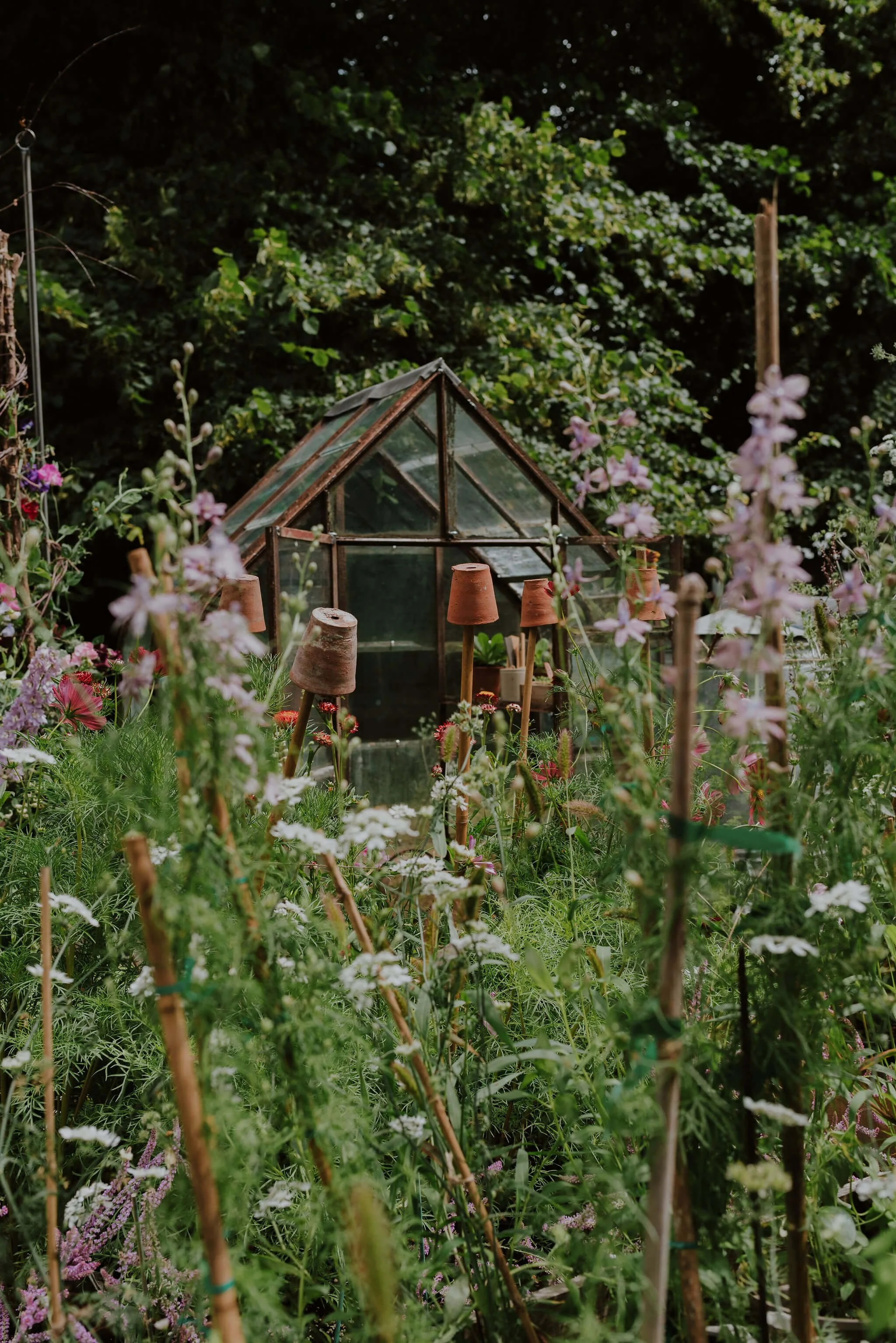 RHS Hampton Court Palace — Kate Cullen Coaching & Photography