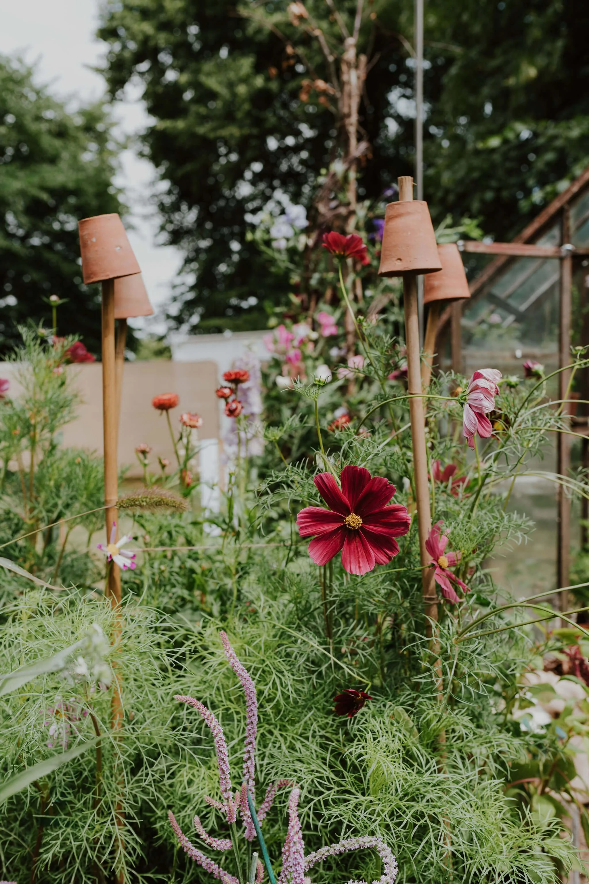 RHS Hampton Court Palace — Kate Cullen Coaching & Photography