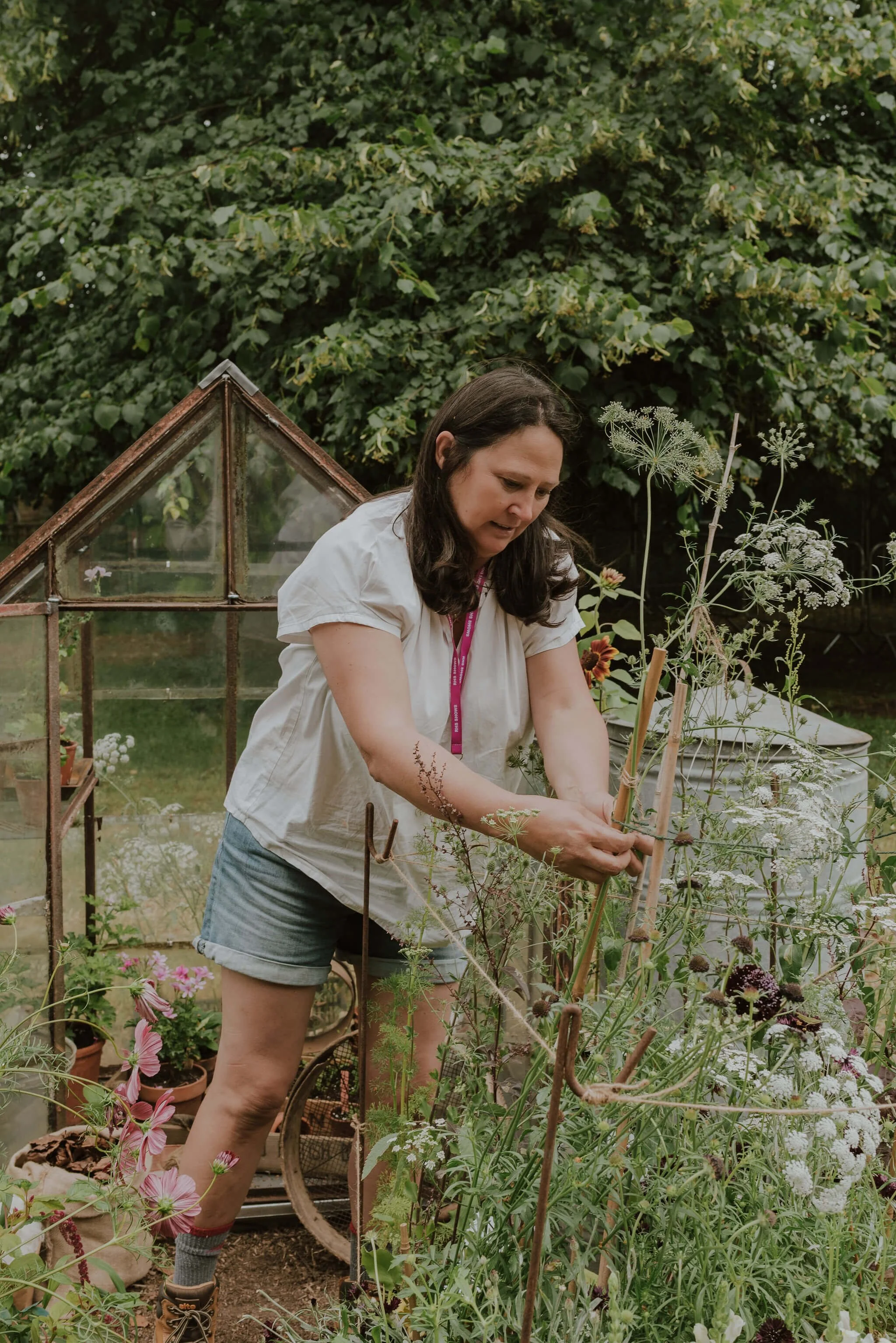 RHS Hampton Court Palace — Kate Cullen Coaching & Photography