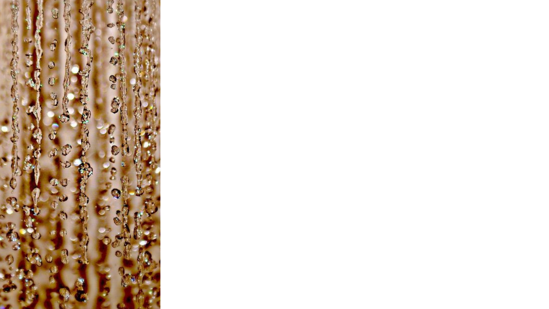 Black Rabbit Projects