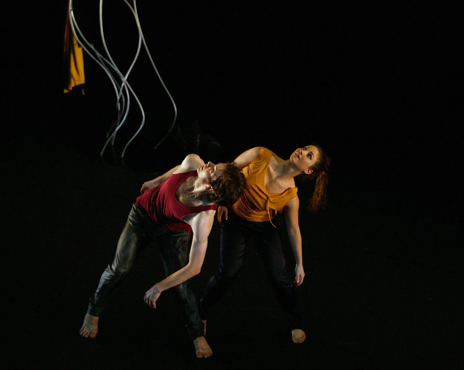 Timeline — Dora Frankel