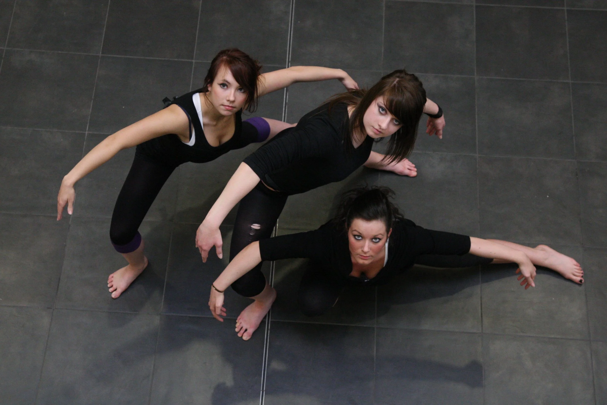 Timeline — Dora Frankel