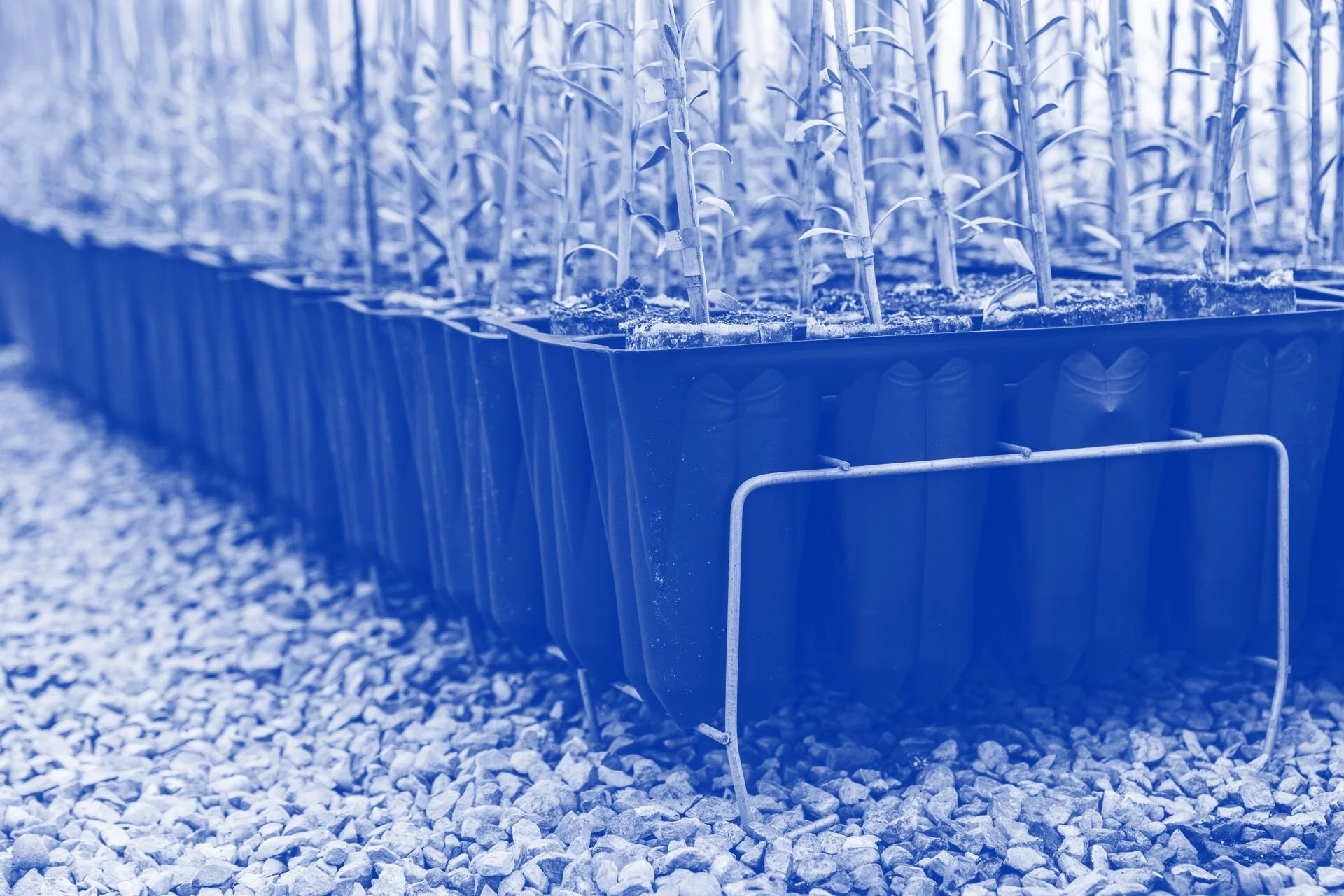 How it Works — Air Trays®