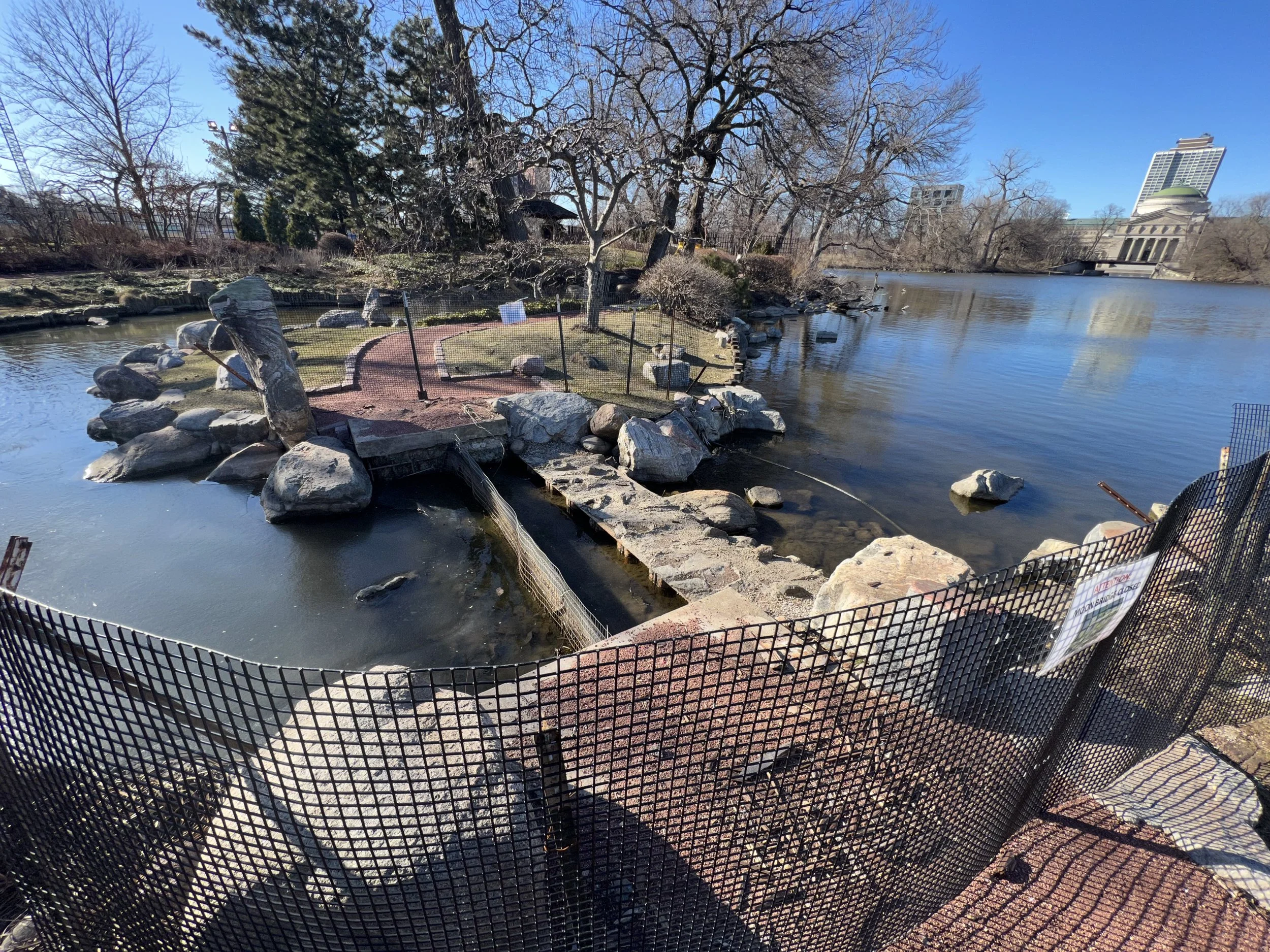 Blog 3 — The Garden of the Phoenix Foundation