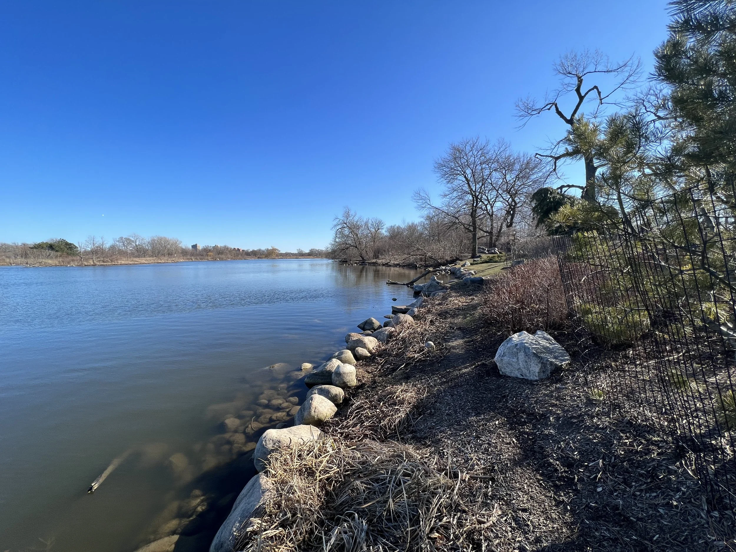 12 - Shoreline Condition — The Garden of the Phoenix Foundation