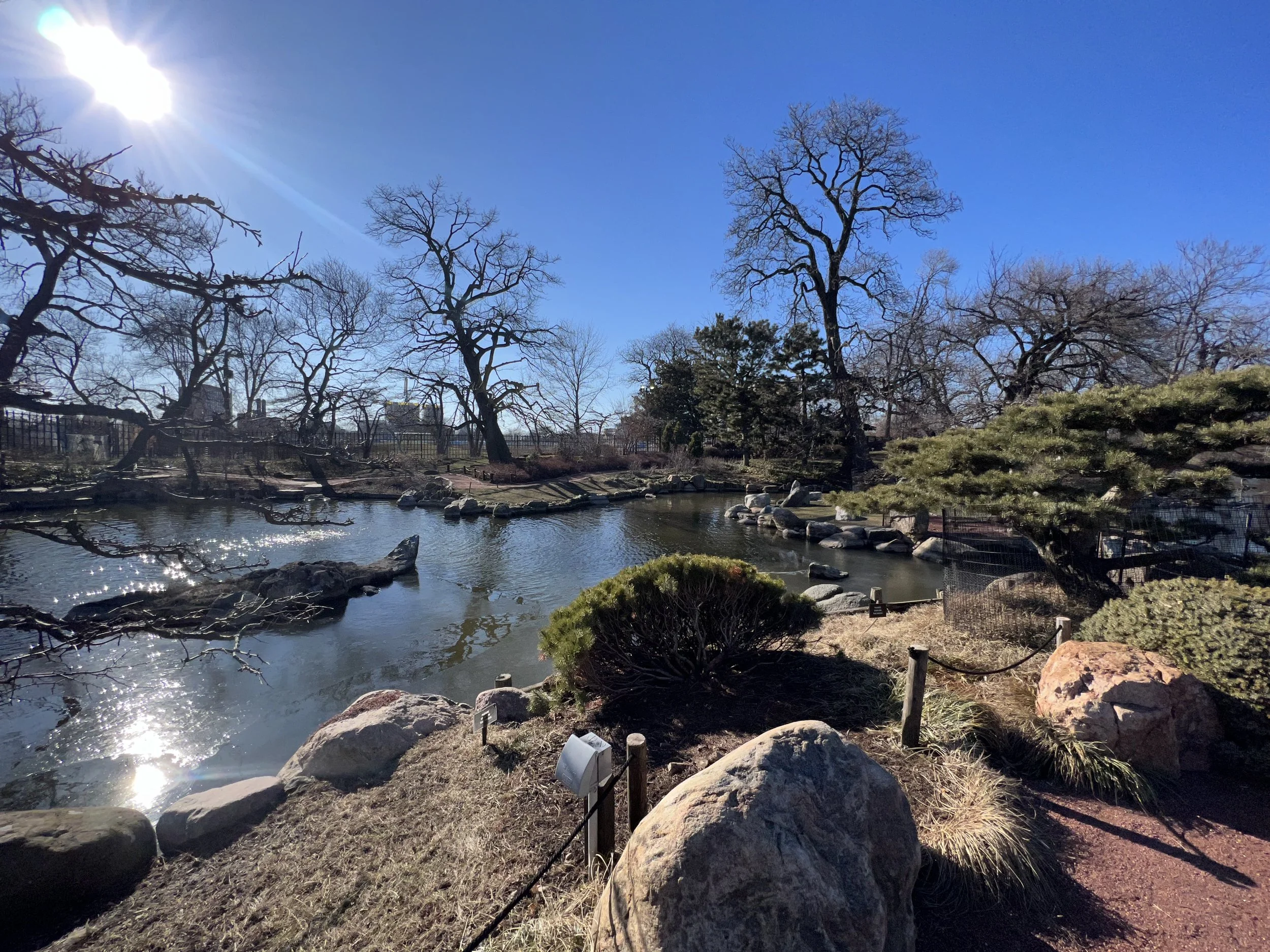6 - Moon Bridge and Pond — The Garden of the Phoenix Foundation