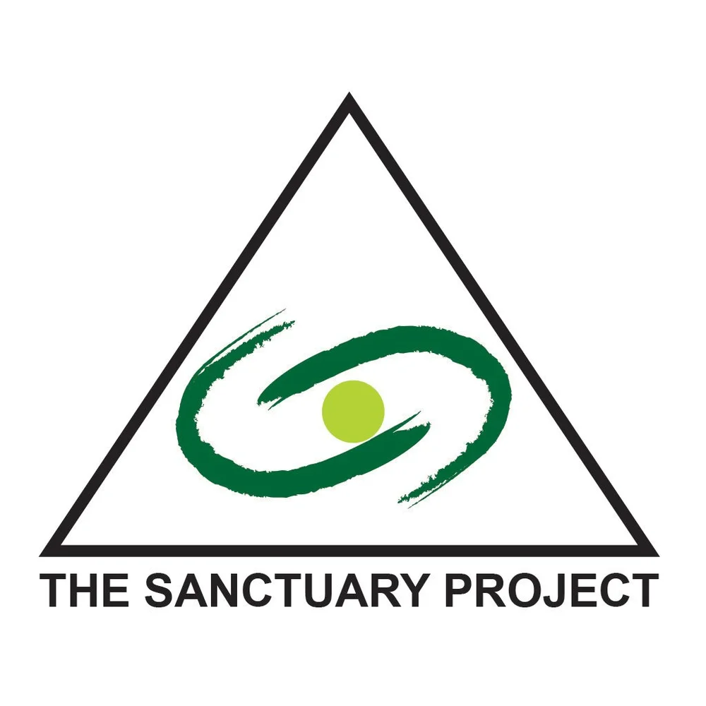 The Sanctuary Project — Louisville Visual Art