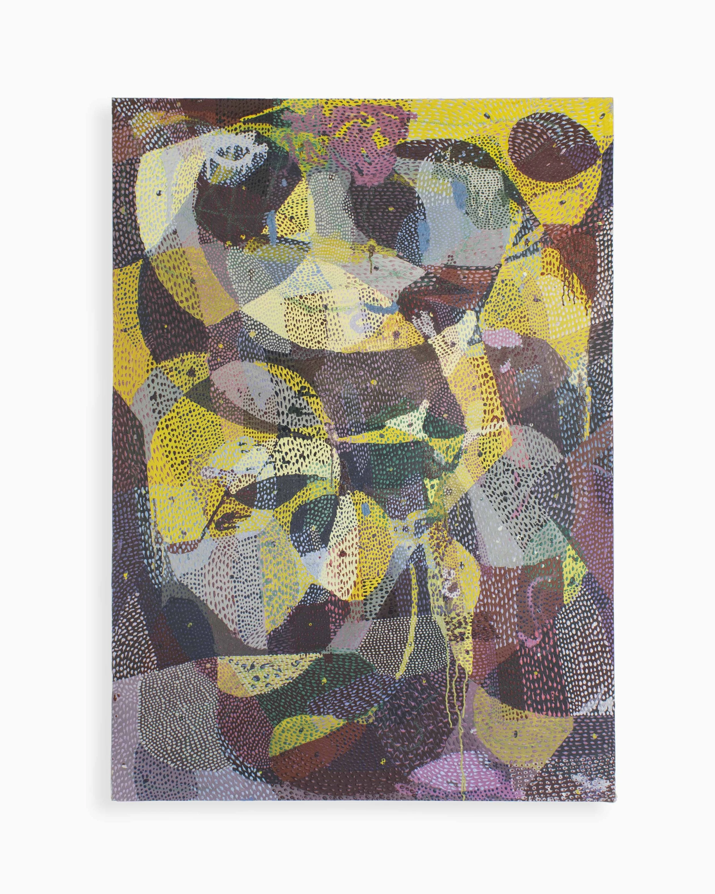 Carlo Vitale — Belle Isle Viewing Room