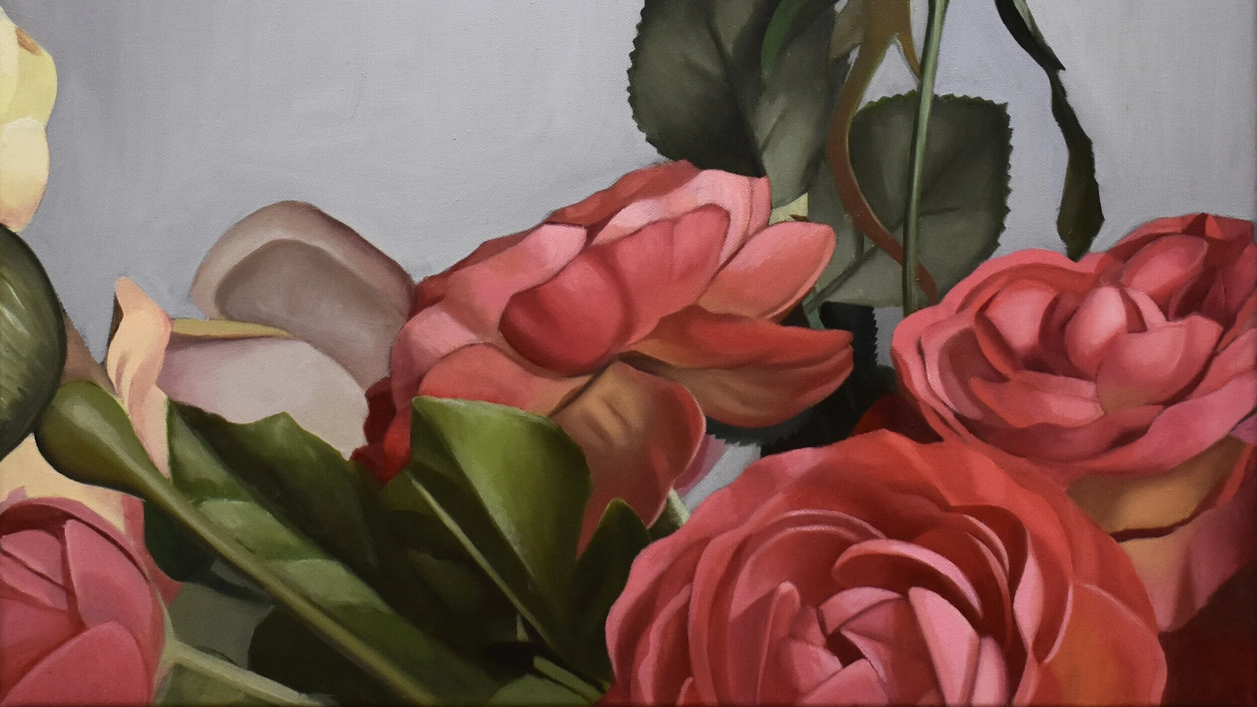 SHOP — KATE GEIGER