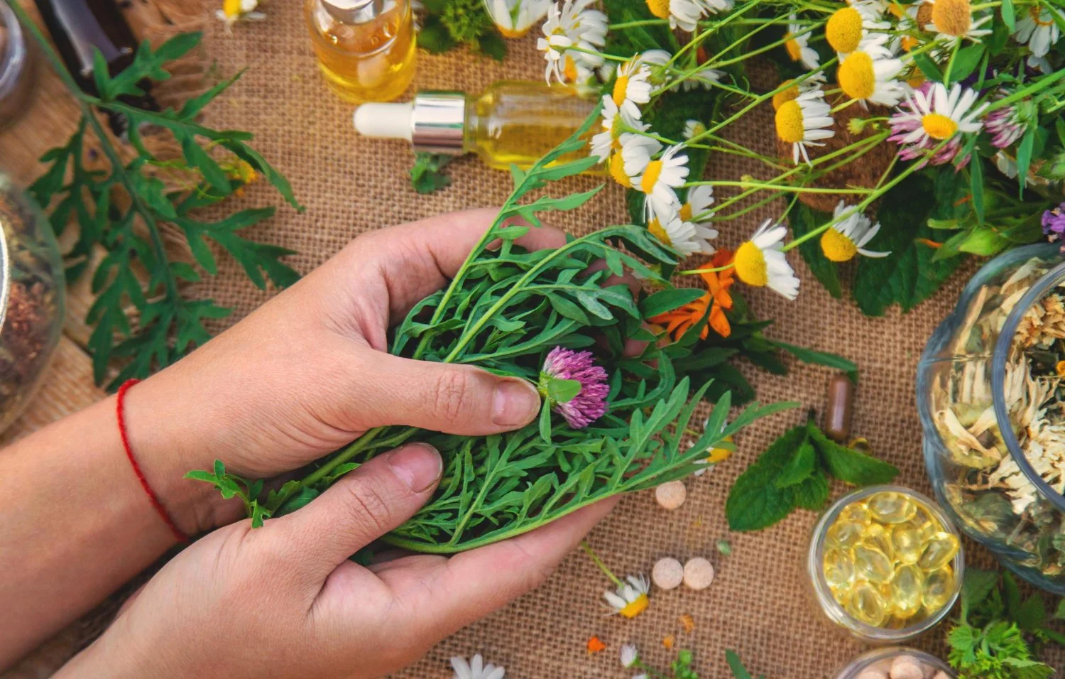 Transform Your Health with Naturopathy: A Holistic Approach to Wellness ...