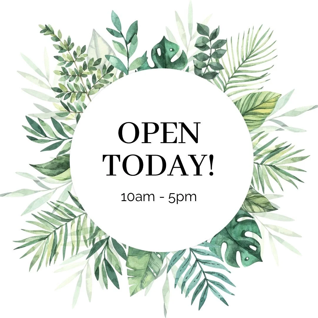 Ypsilanti Art Supply