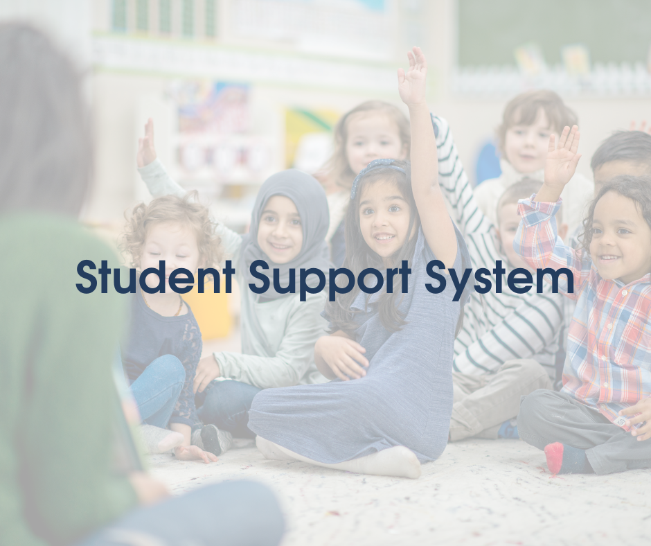 MI Systems Support