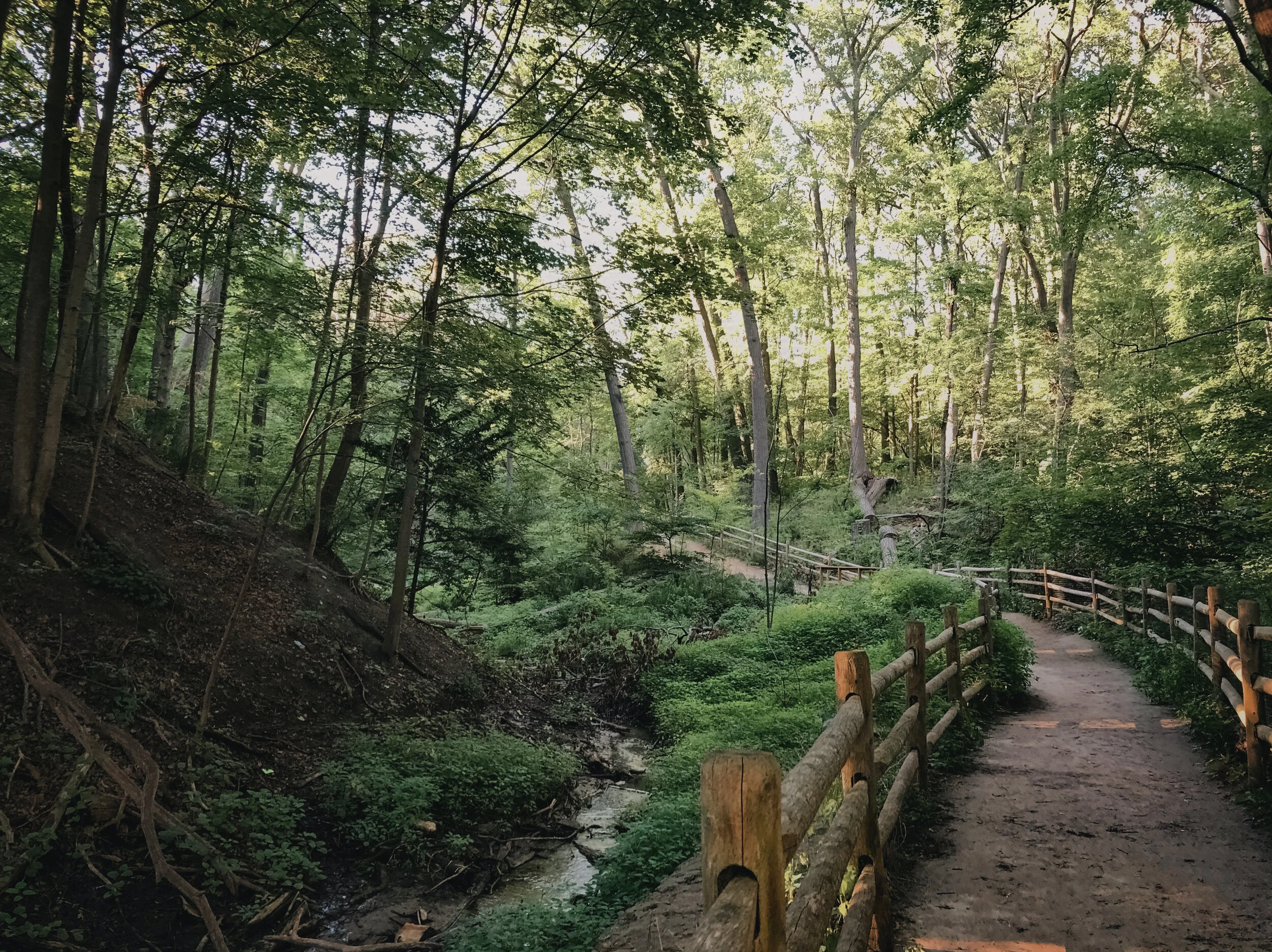 Toronto Nature School Toronto Nature School