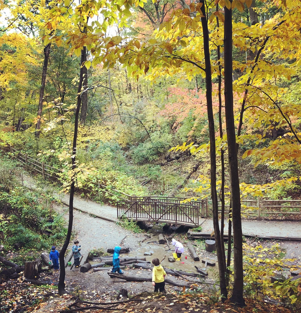 About Toronto Nature School — Toronto Nature School
