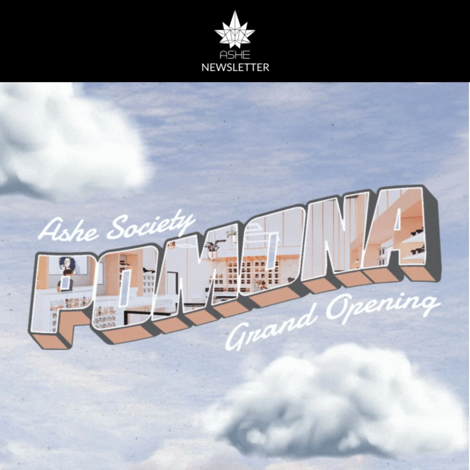 ASHE Society | The Best Cannabis Dispensary & Deals Near You | Santa ...