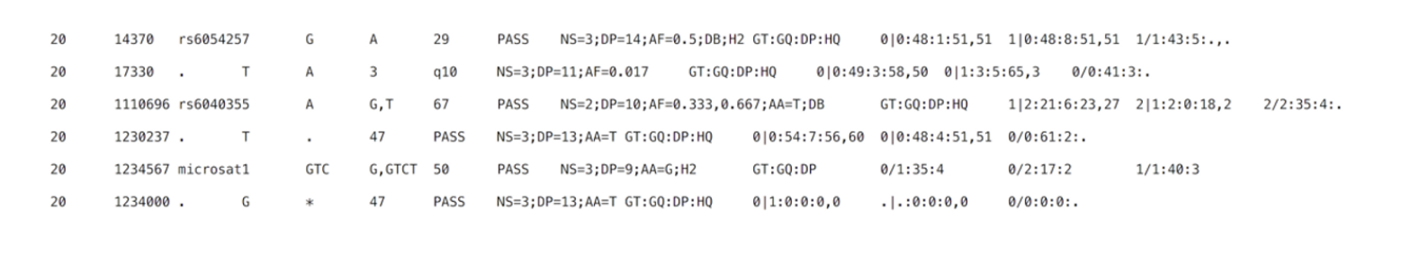 Parsing Variants Using the cyvcf2 Library — Precision Oncology Solutions | GenomOncology