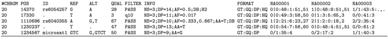 What is a Variant Call Format (VCF) file? — Precision Oncology ...