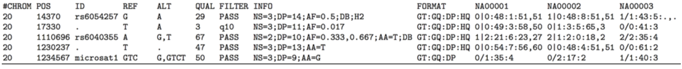 What is a Variant Call Format (VCF) file? — Precision Oncology ...