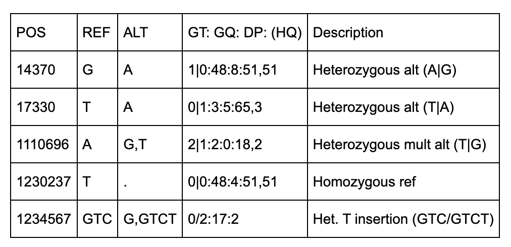 What is a Variant Call Format (VCF) file? — Precision Oncology Solutions | GenomOncology