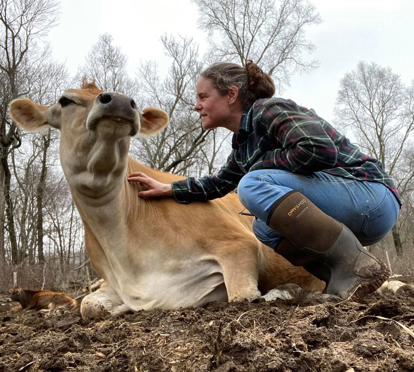 About — Terra Firma Farm