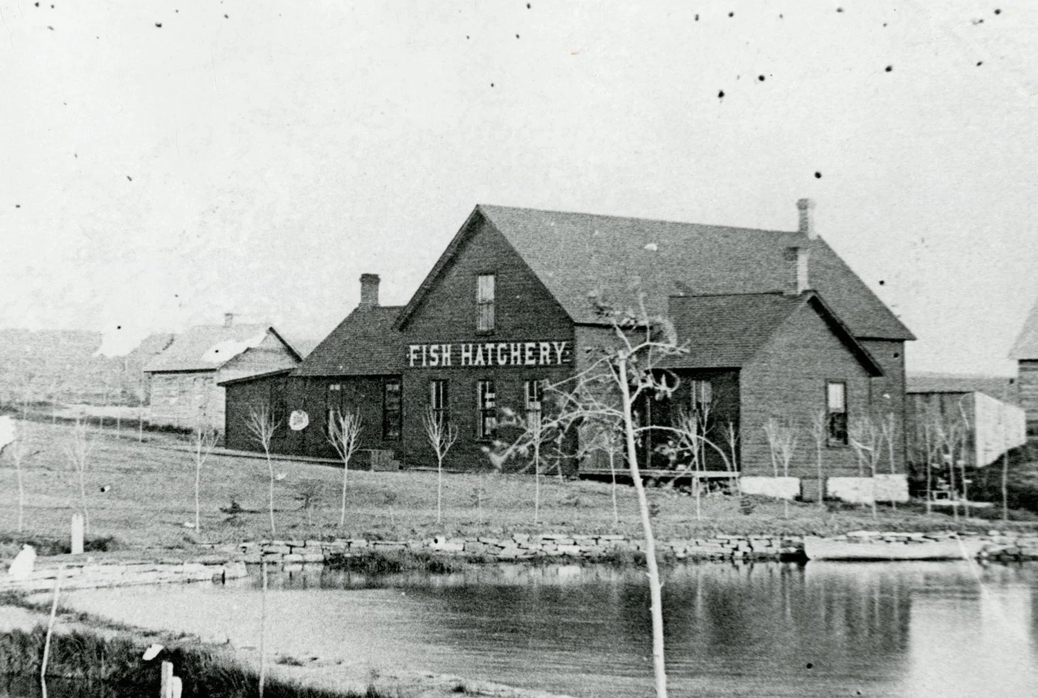 Buildings — Albany County Historical Society