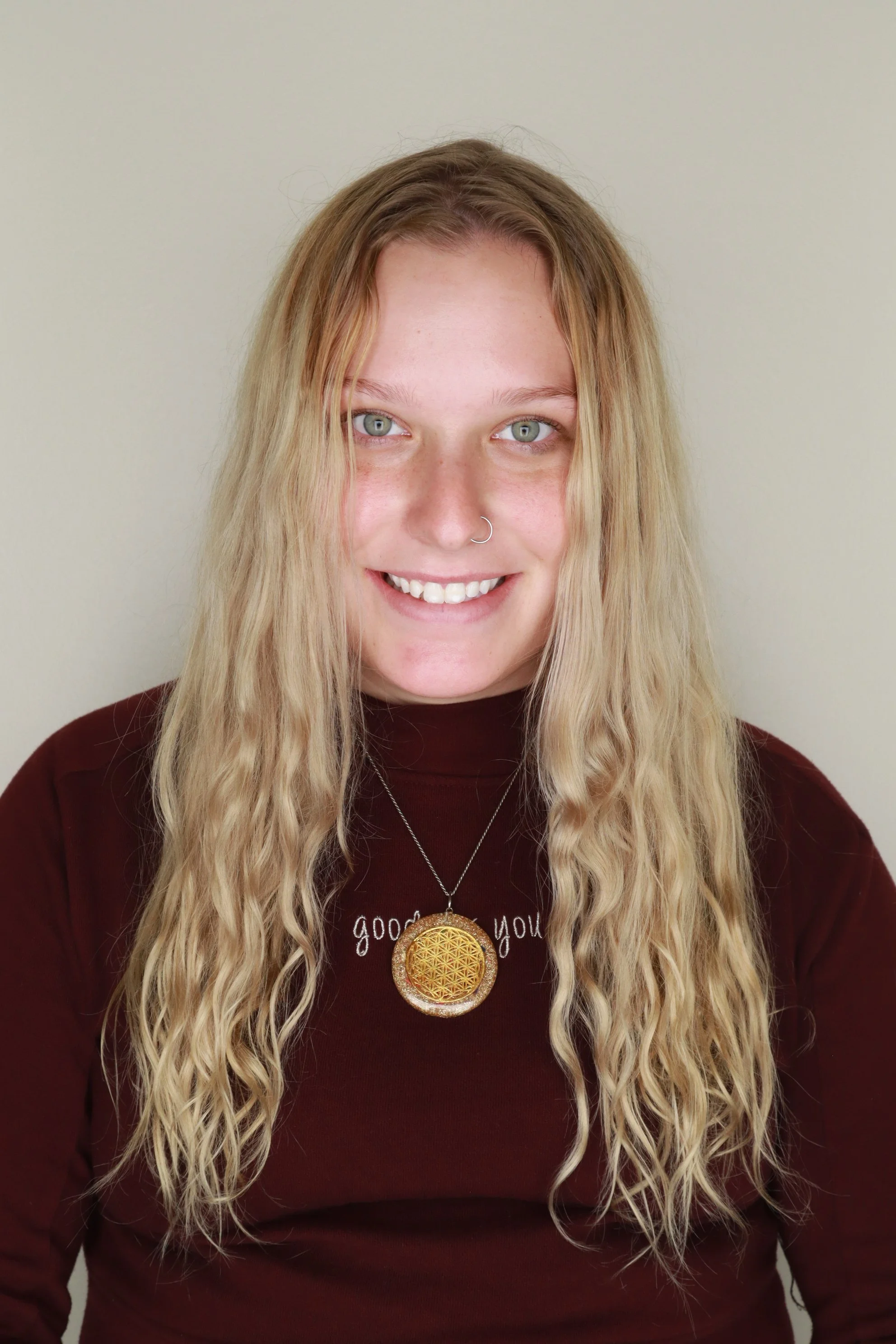 How to bring NoSo to your school — NoSo November