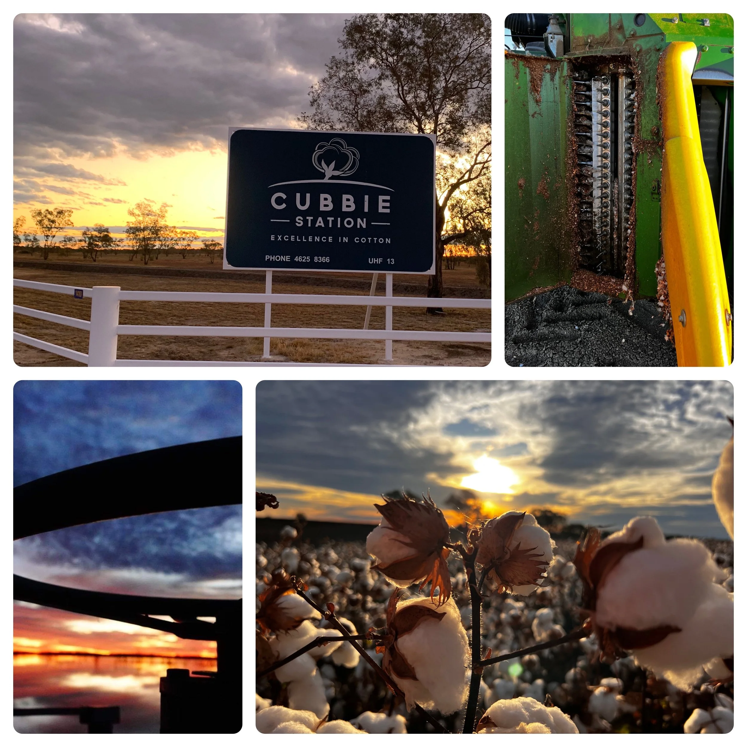 CUBBIE STATION COTTON FARM TOUR — Dirranbandi Retreat and Caravan Park