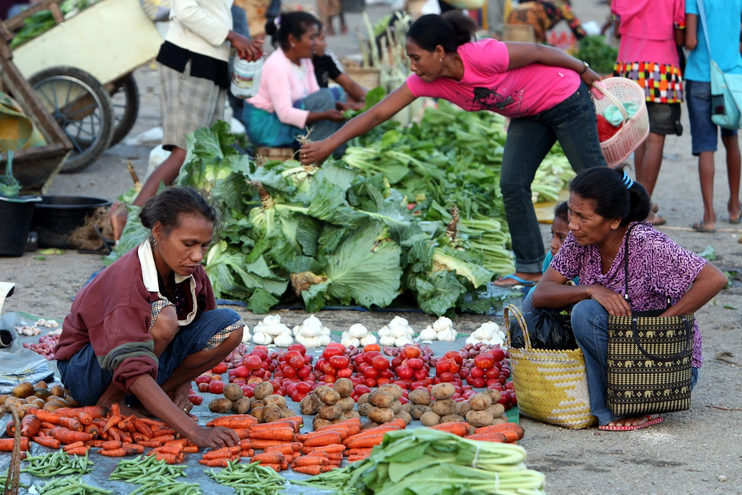 The Timor Leste Story — Edmund Rice Christian Brothers Oceania Province