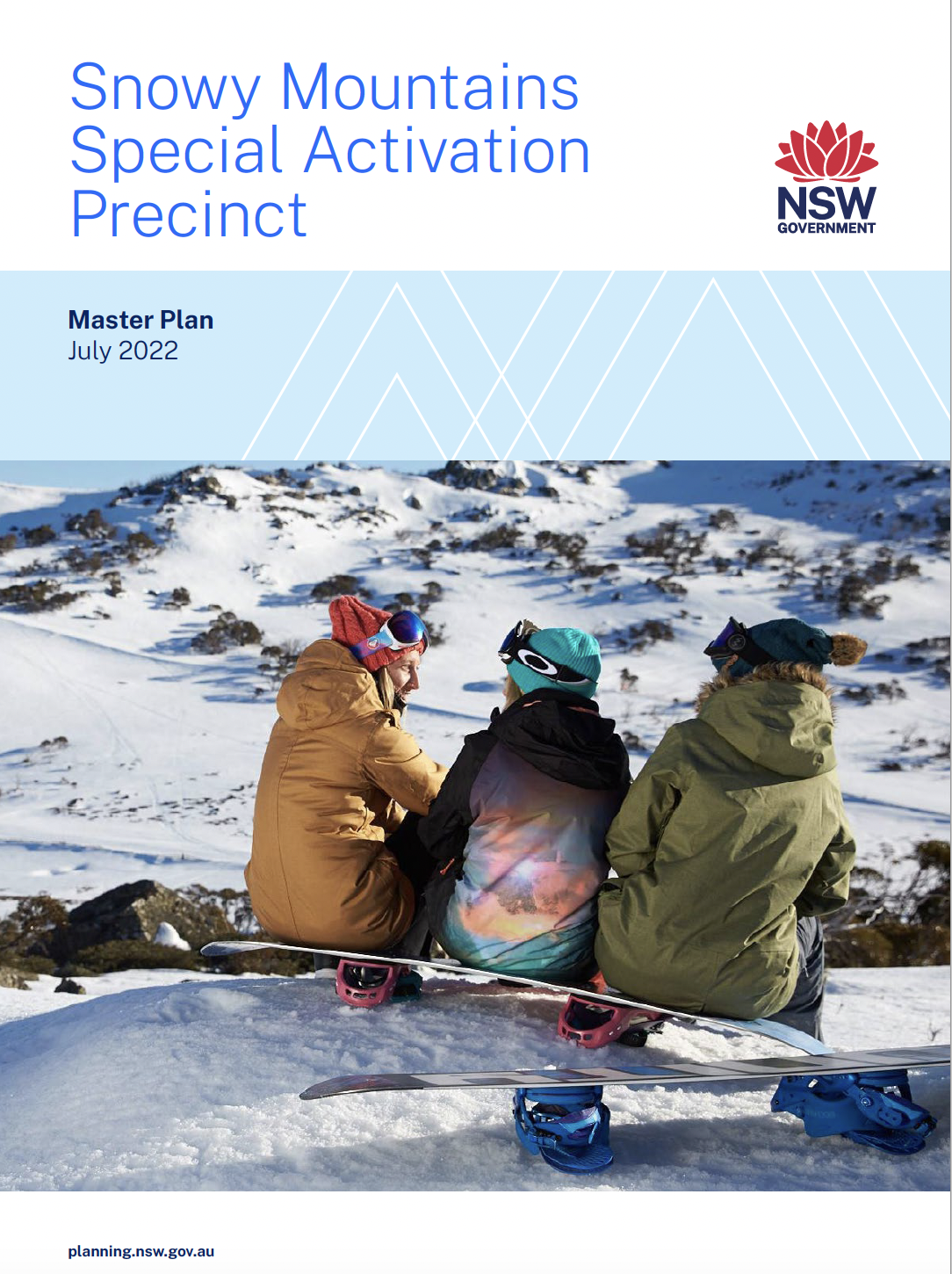 Strategic Precinct Planning — The Planning Studio
