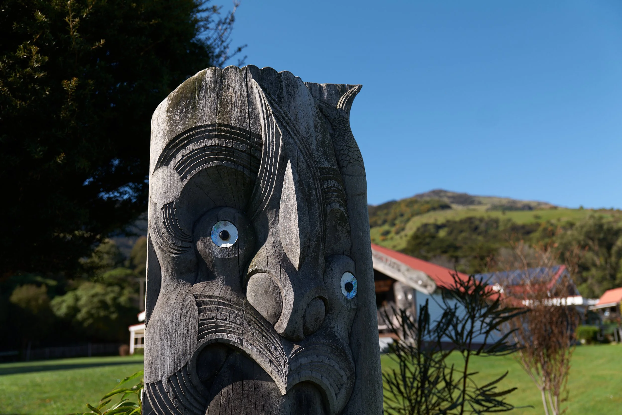 Akaroa King Salmon — Discover Seafood
