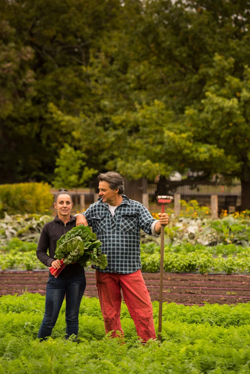 Adsum Farmhouse — Bite | Recipes, News, Interviews & Reviews