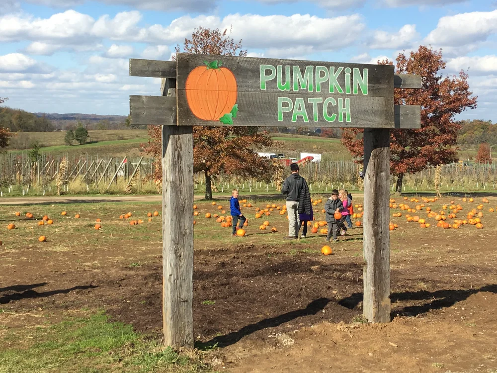 Kids Day at The Farm — Rich Farms