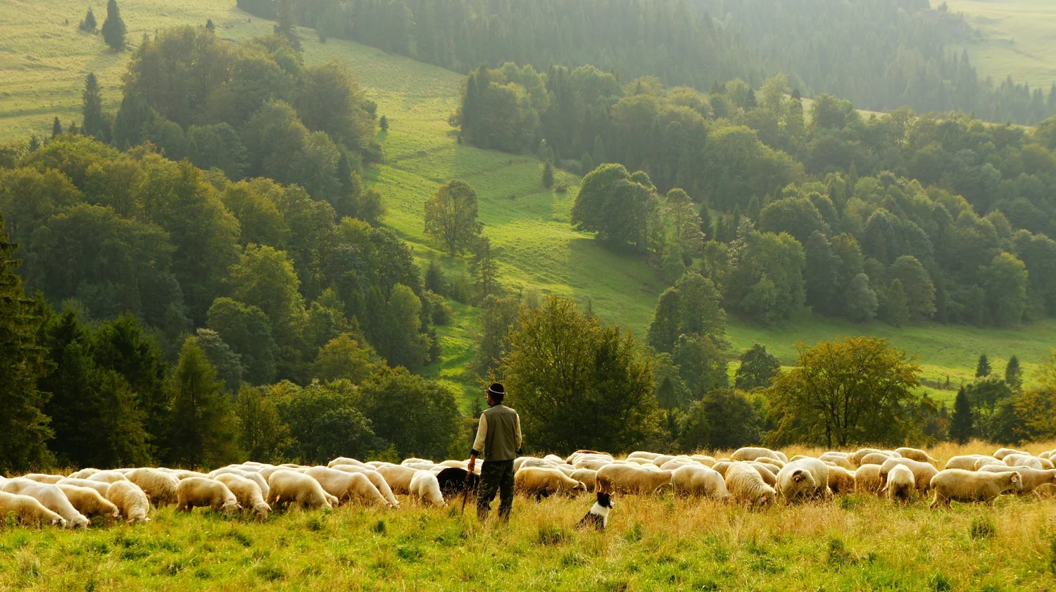 How to Teach Psalm 23, Theologically — Youth Pastor Theologian