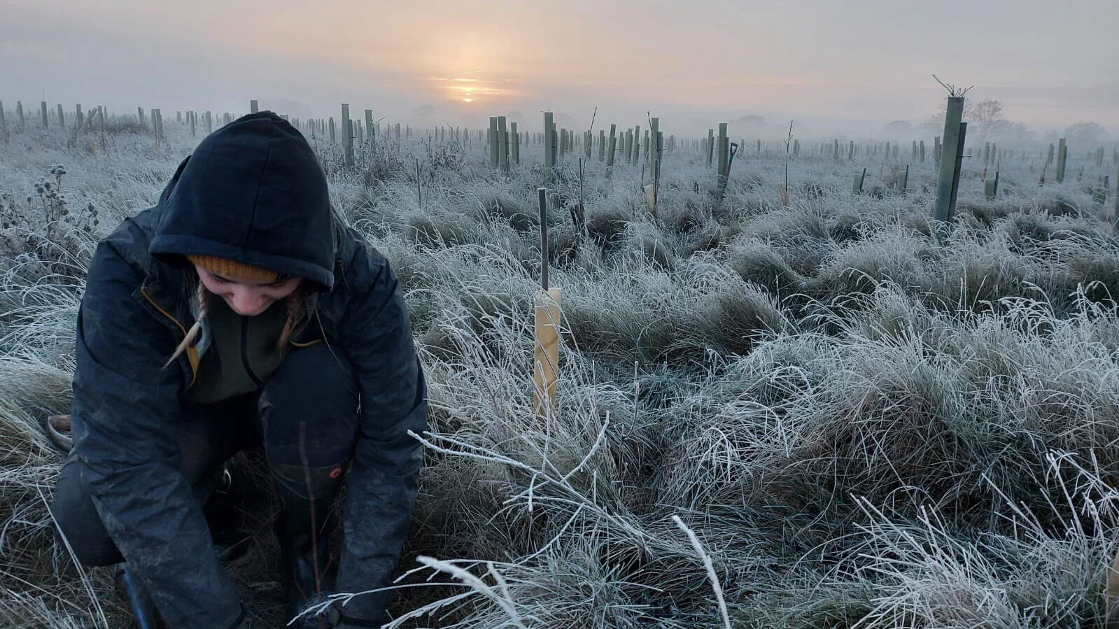 Youth Environmental Service