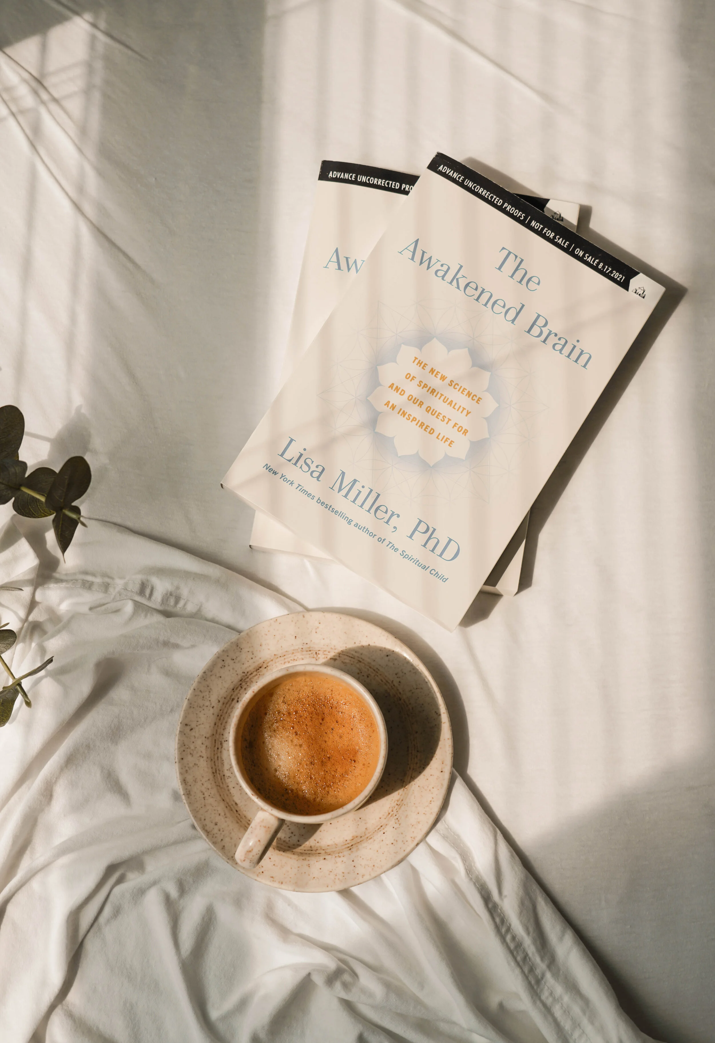 Events — Dr. Lisa Miller