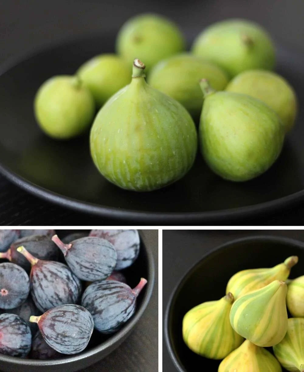 Adriatic Figs