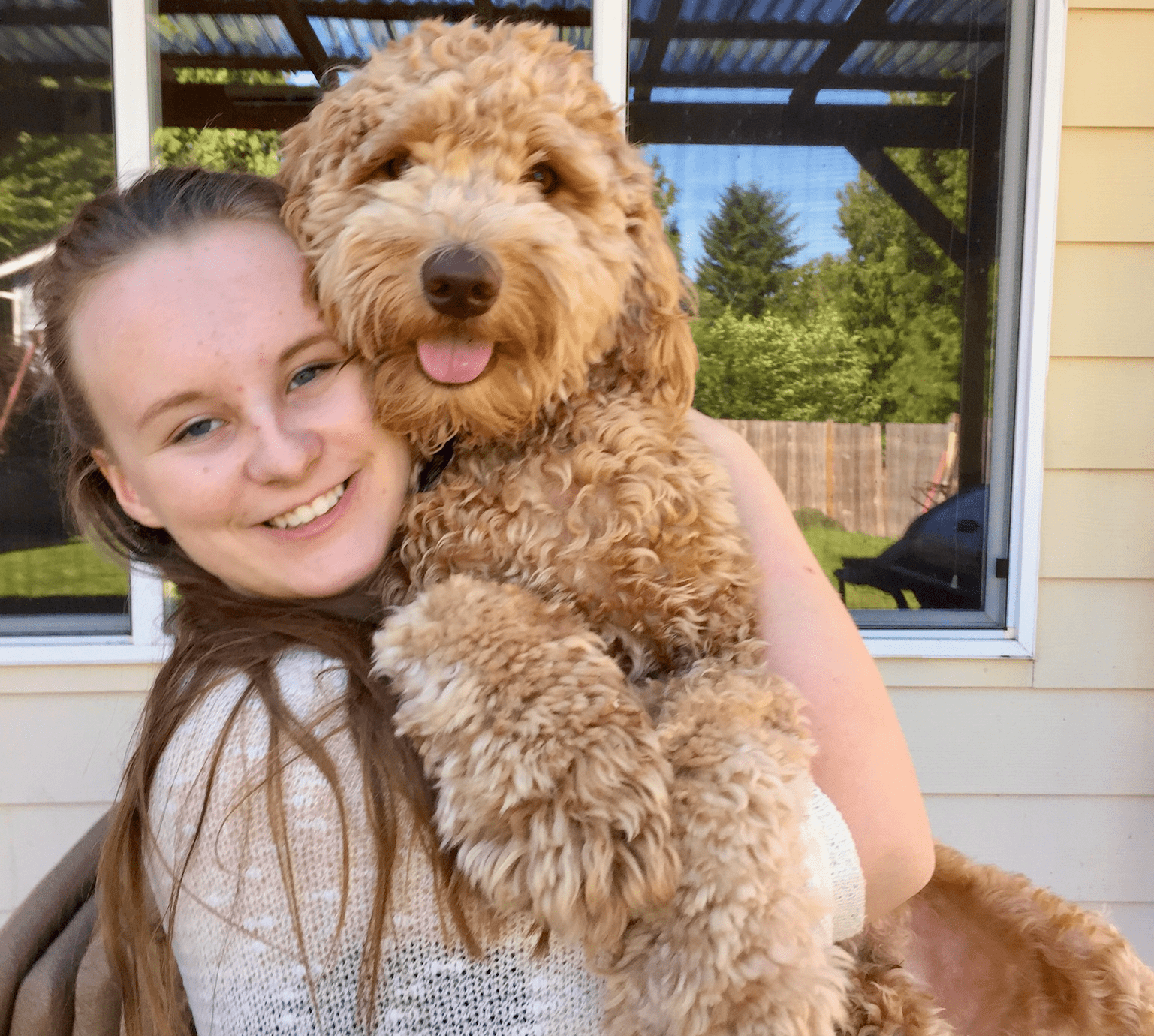 Kerry's Labradoodles of Seattle