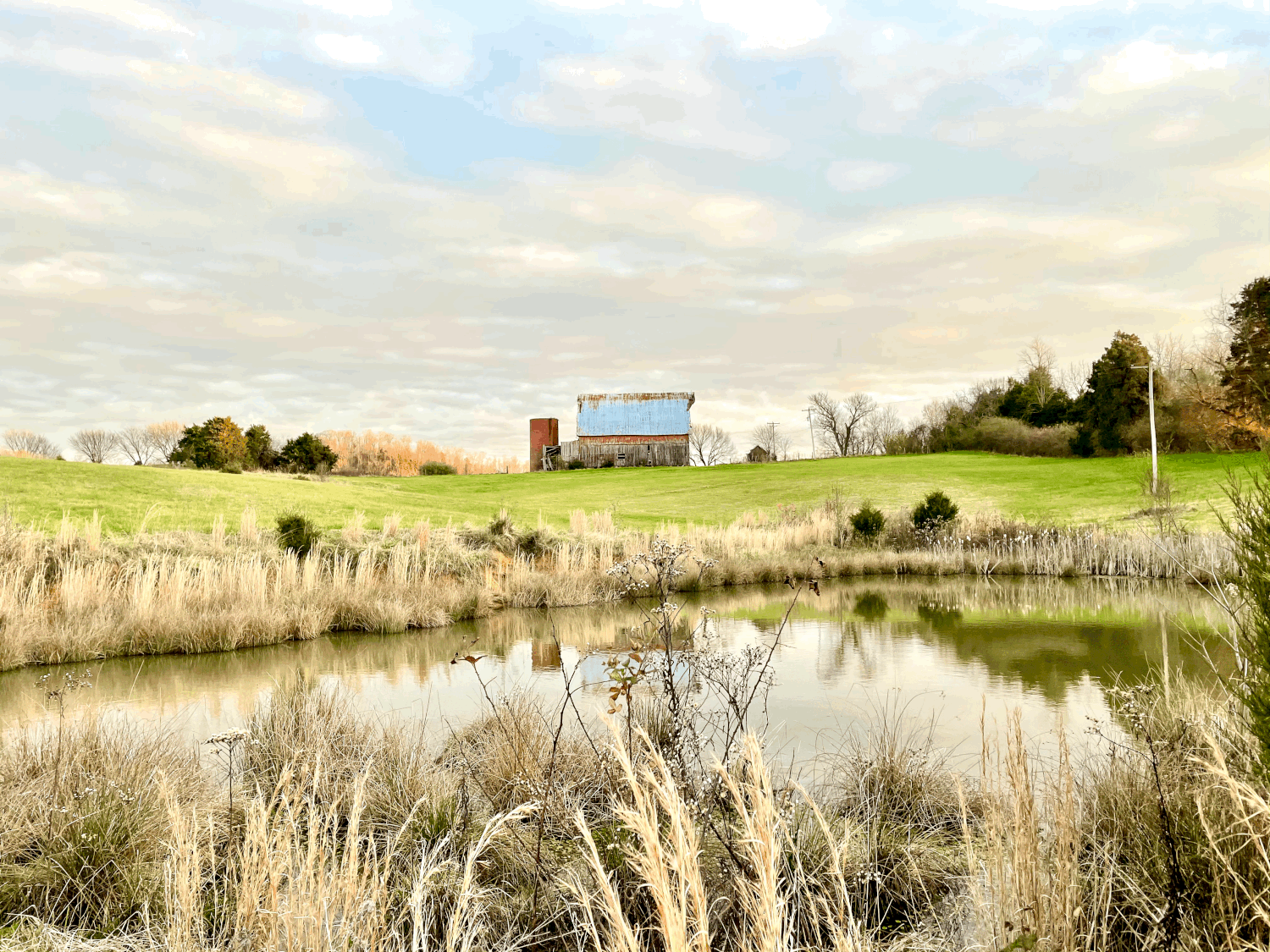 Board Meetings | Join Community Discussions — Rocky Mount State ...