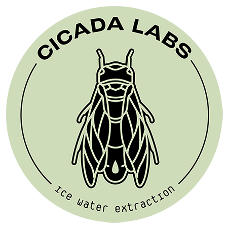 Cicada Labs