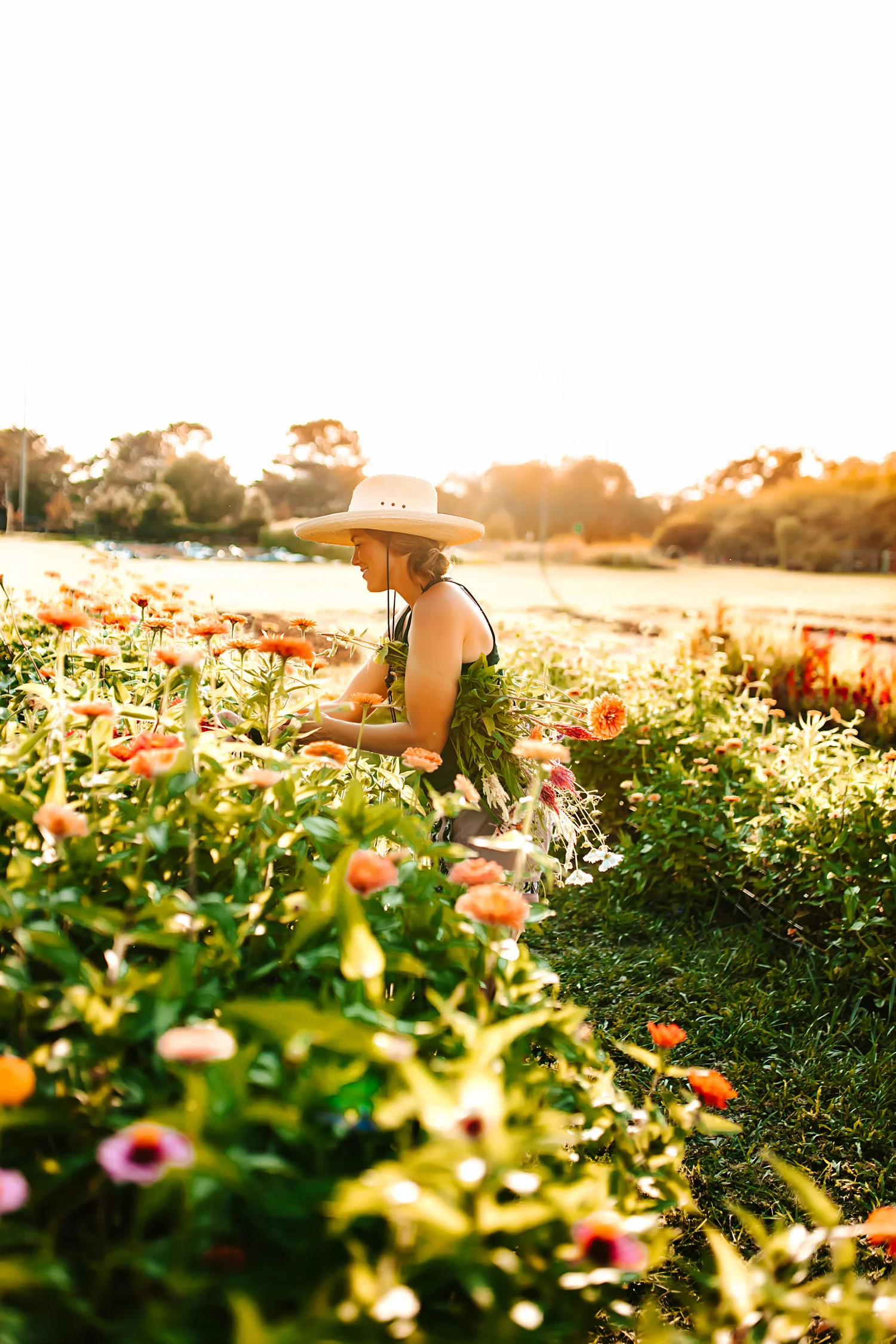 Fields of Grace Flower Farm